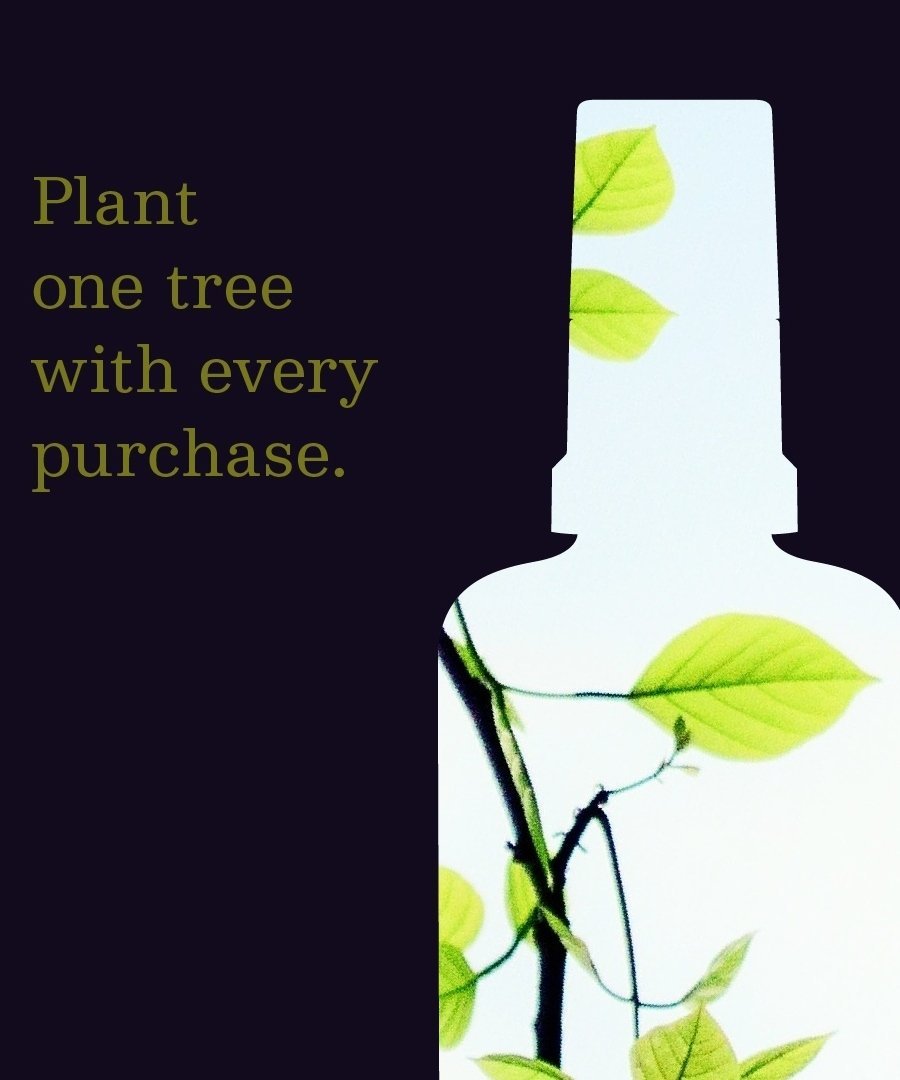 1 Tree planted for every purchase – Edible Beauty Australia