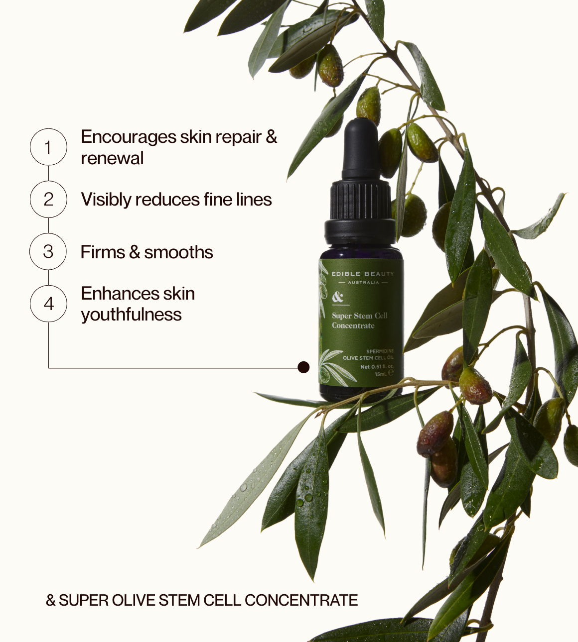 Stem Cell Concentrate | Advanced Spermidine Anti-Ageing Formula ...